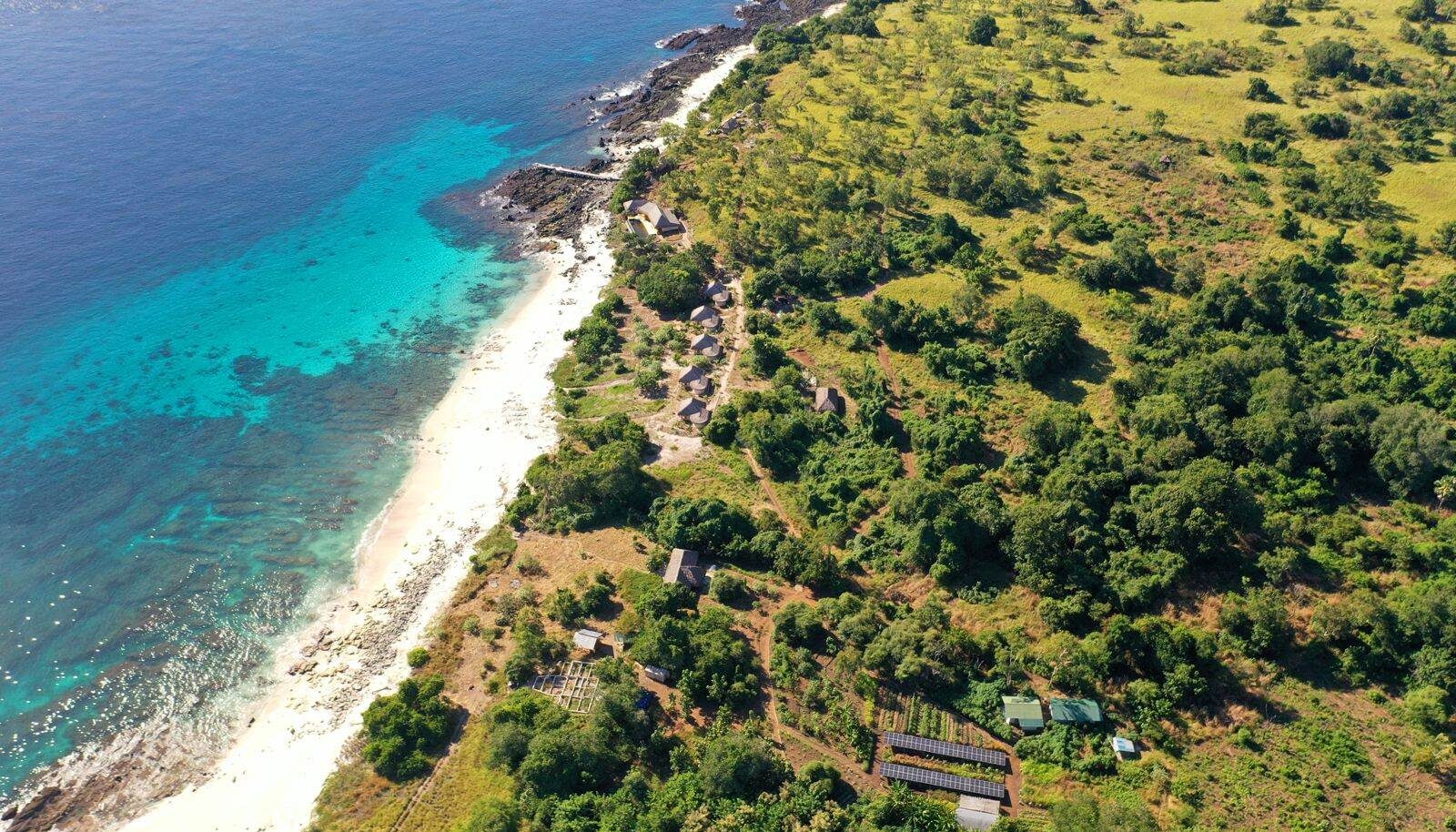 SAVU South Alor House Reef: Diving & Snorkeling